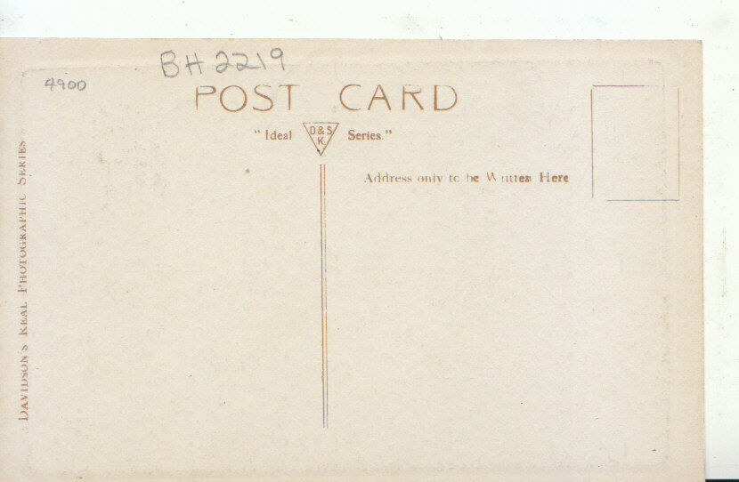 Scotland Postcard - Perth Bridge from North Inch - Real Photograph ...