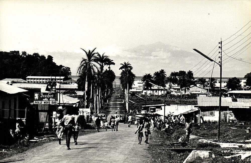 cameroon, VICTORIA LIMBÉ, Palm Avenue (1960s) Postcard | Africa ...