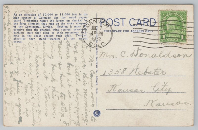 Colorado~Timberline Trees On The Rockies~Vintage Postcard | United ...