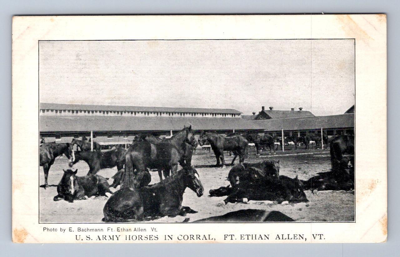 U.S. Army Horses Corral FT. Ethan Allen Vermont Military E. Bachmann ...