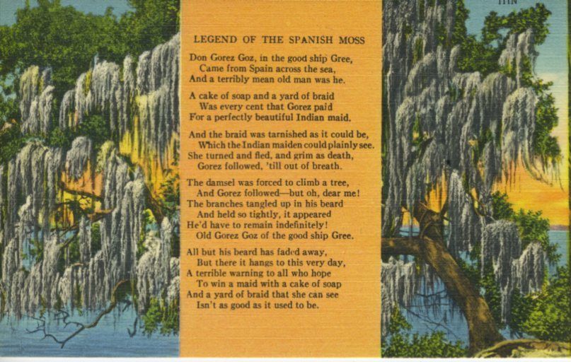 Legend Of The Spanish Moss, Poem Postcard | Other / Unsorted, Postcard ...