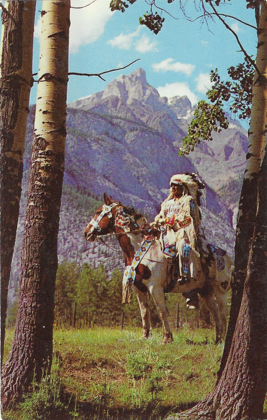 Native American (No Tribe Listed) Chief on His Horse | Topics ...