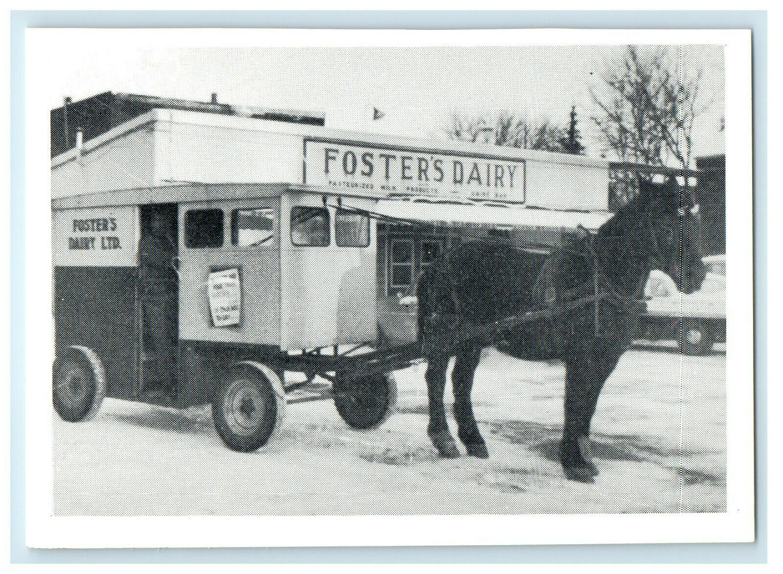 c1960s Horse and Wagon Foster's Dairy Ltd. Tweed, Ontario Canada ...