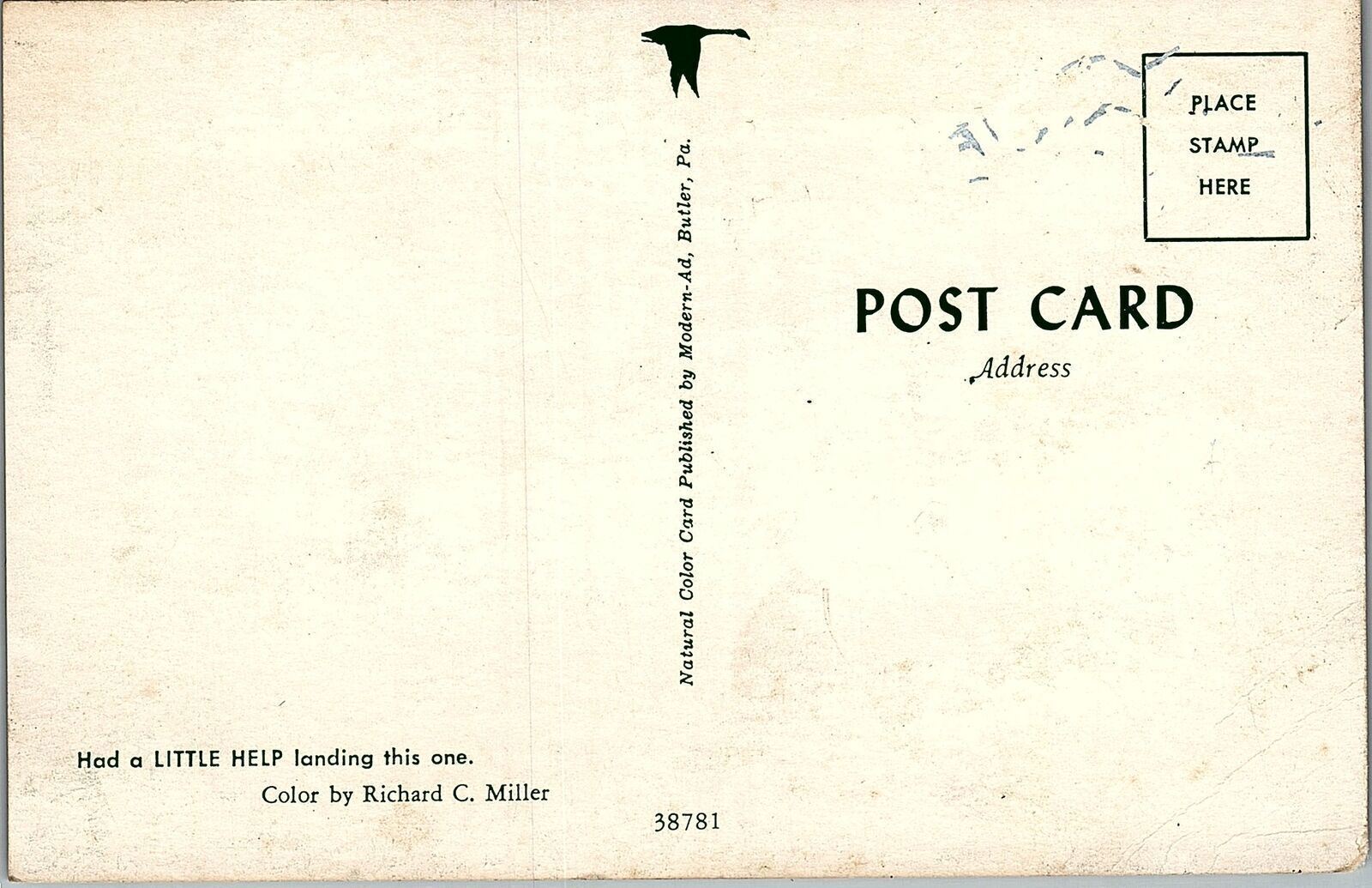 Vintage Comedic Crane Pulling in Huge Fish Exaggerated Postcard 36-24 ...