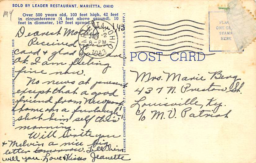 Largest Elm Tree in U. S. Marietta, Ohio OH | United States - Ohio ...