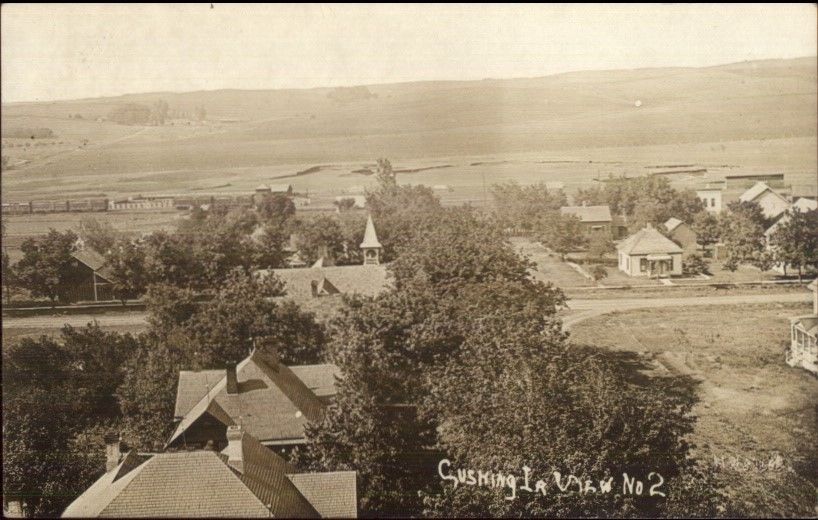 Cushing Iowa IA Birdseye View c1910 Real Photo Postcard | United States ...