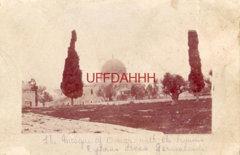 THE MOSQUE OF OMAR with the famous Cypress trees JERUSALEM | Asia ...
