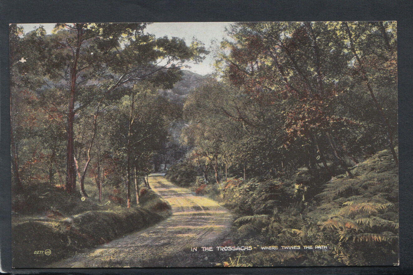 Scotland Postcard - In The Trossachs - "Where Twines The Path" RS14670 ...