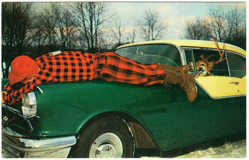 Deer in Car with Hunter on Hood Tables Turned Comic Postcard 1950s ...