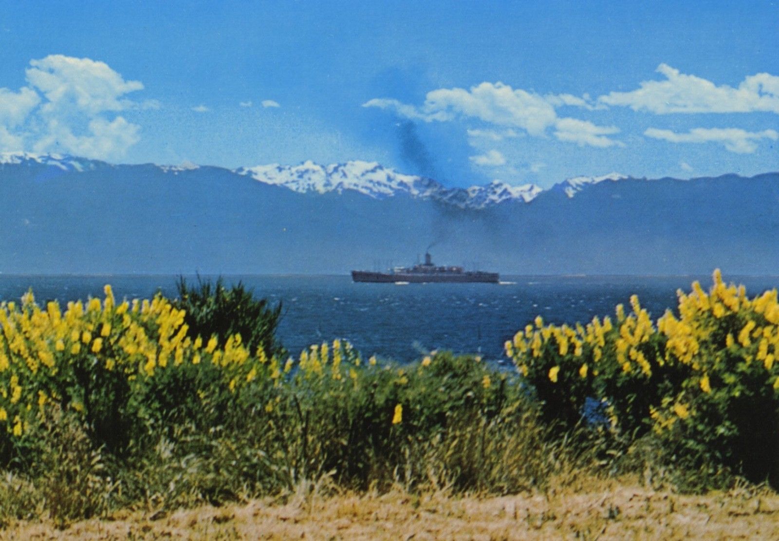 Victoria BC Strait Of Juan De Fuca P&O Orient Liner Salish Sea Postcard ...