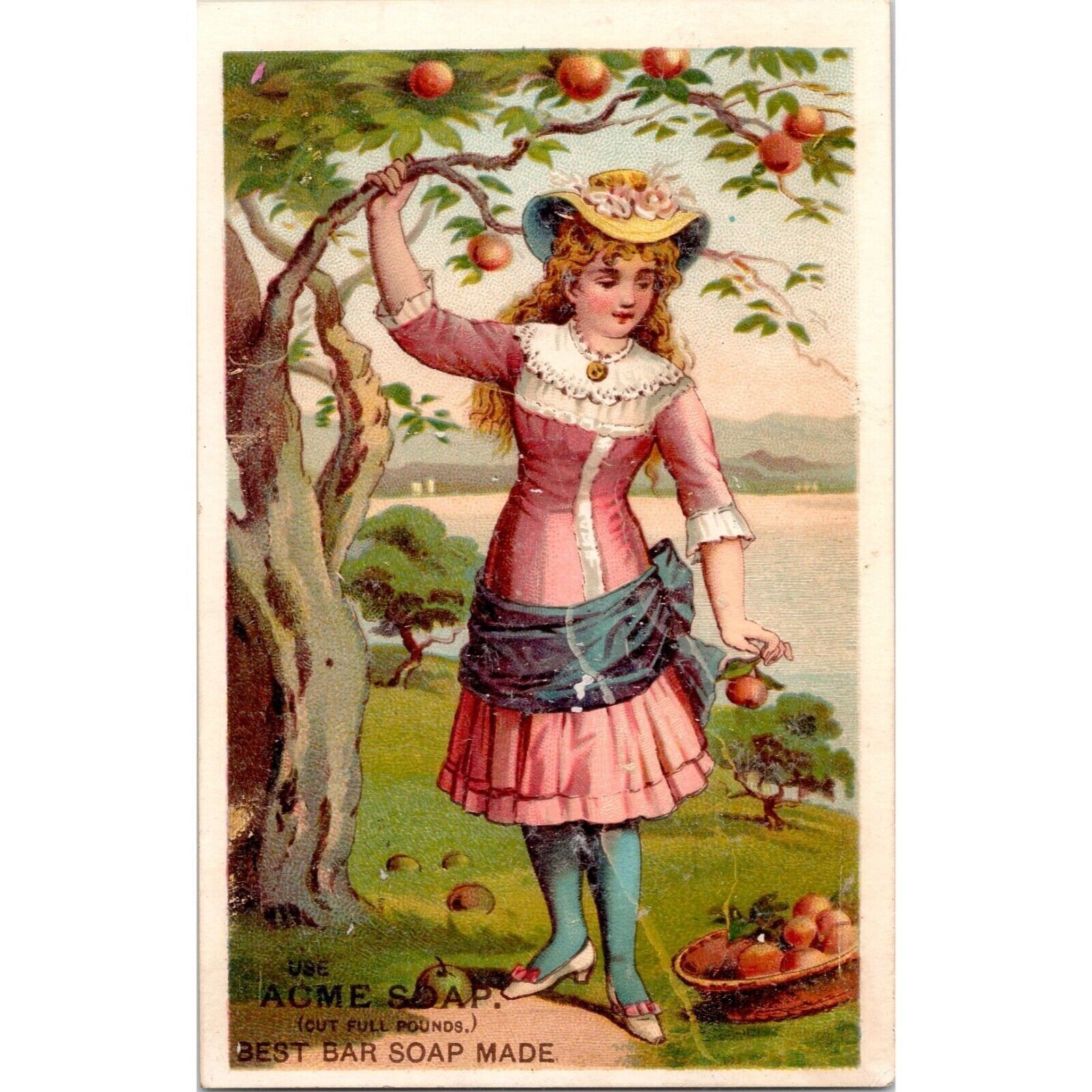ACME Soap - Best Bar Soap Made - Girl - Apple Tree - Victorian Trade ...