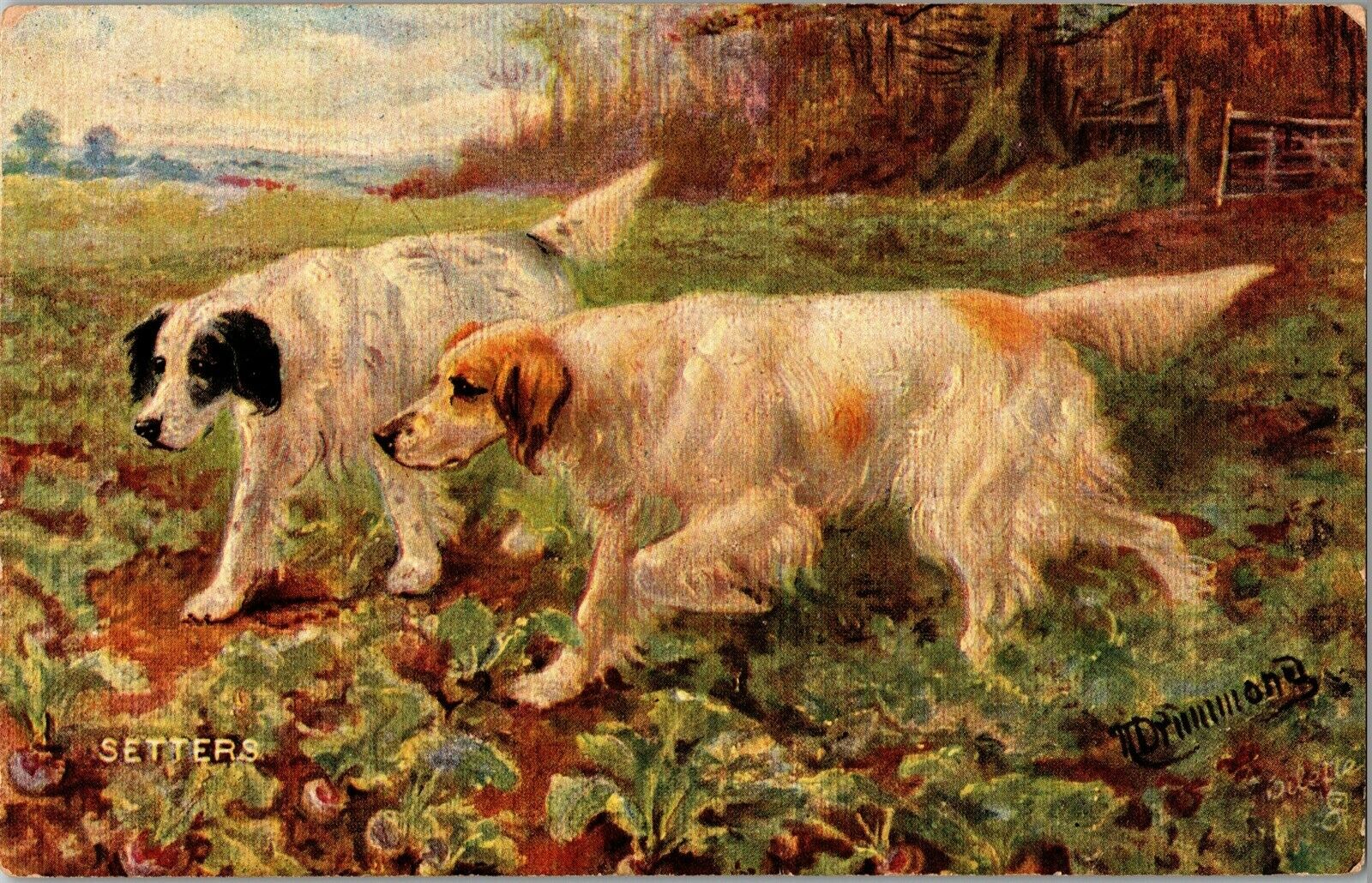 Tucks 9105 Sporting Dogs Setters by N. Drummond Vintage Postcard H27 ...