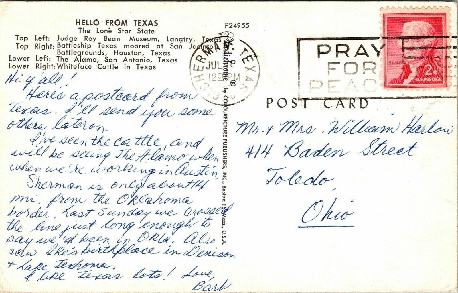 Hello Texas Lone Star State Multiview Alamo Cattle VTG Postcard PM ...