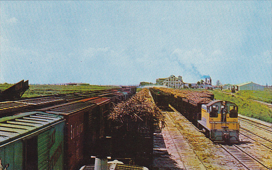 Trainload Of Sugarcane At Railway Sugar House Yard United States Sugar ...