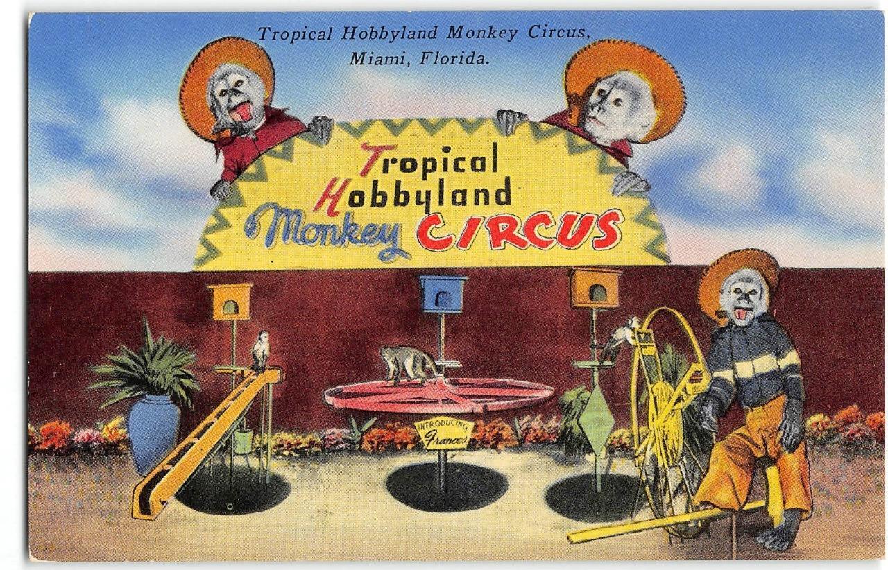 Tropical Hobbyland Monkey Circus, Miami, Florida Amusement Park 1950s ...