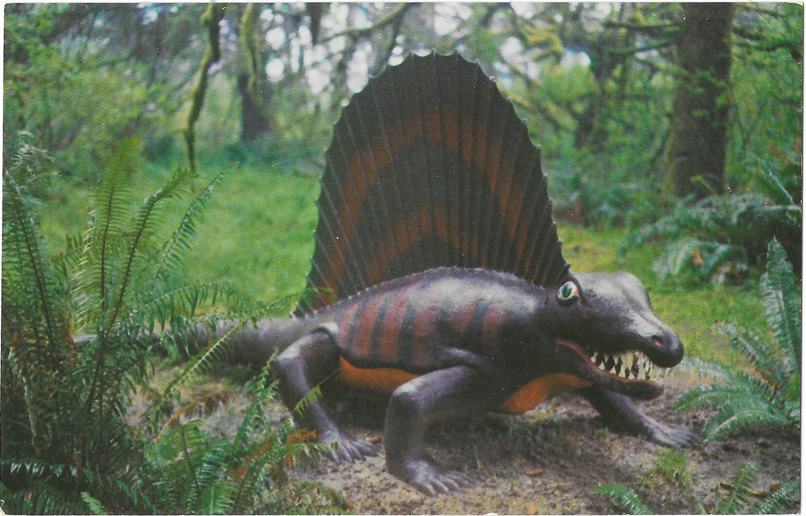 Dimetrodon Dinosaur Reptile Prehistoric Gardens Oregon Highway 101 ...