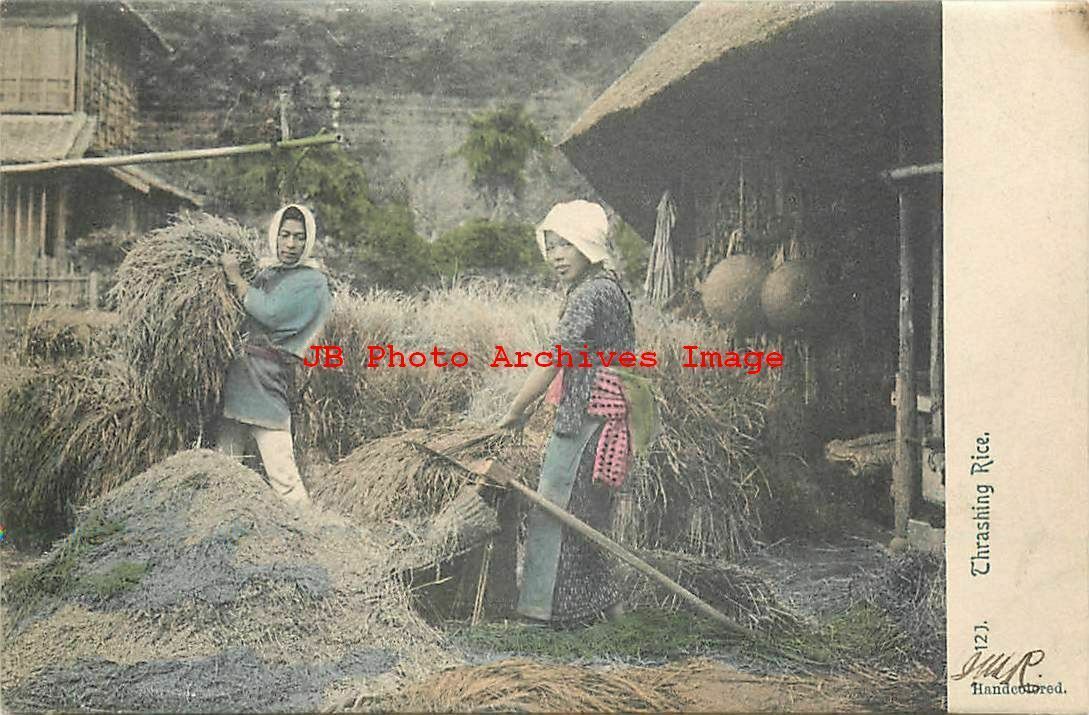 Japanese Thrashing Rice in Ethnic Folklore Costume, Farming, Hand ...