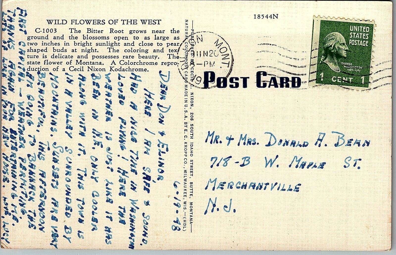 1940s the Bitter Root, Wild Flower of the West Linen Postcard 20-59 ...