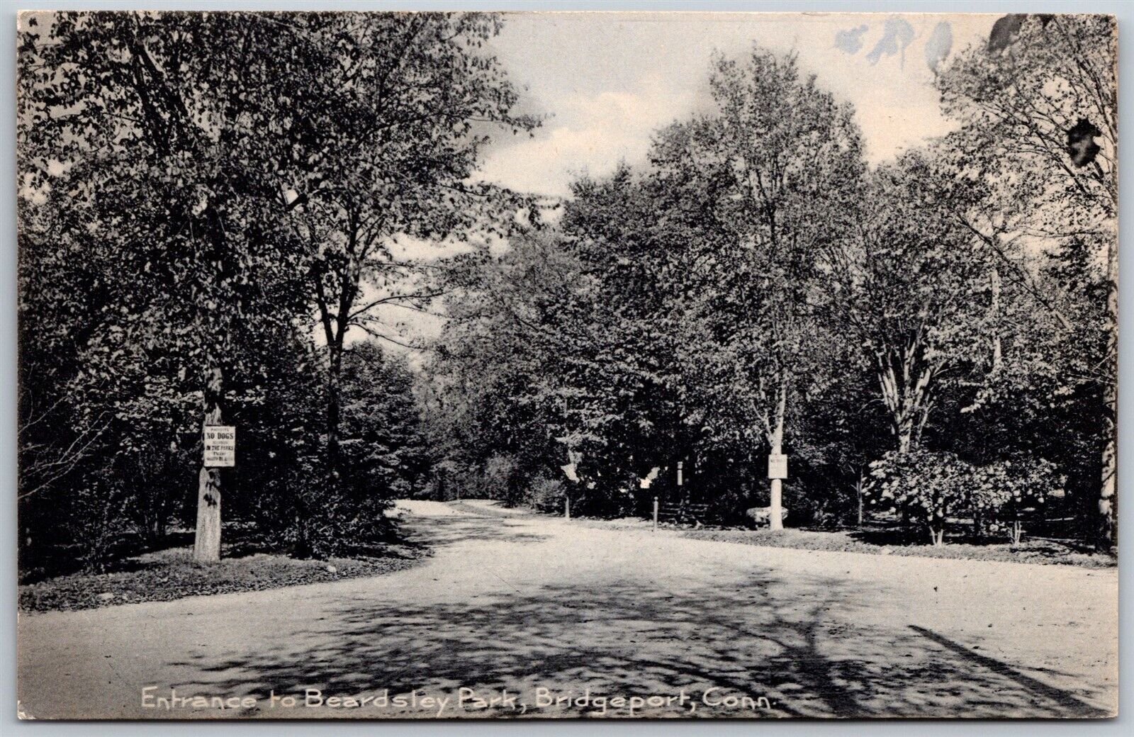 Vtg Bridgeport Connecticut CT Entrance to Beardsley Park 1906 Old View ...