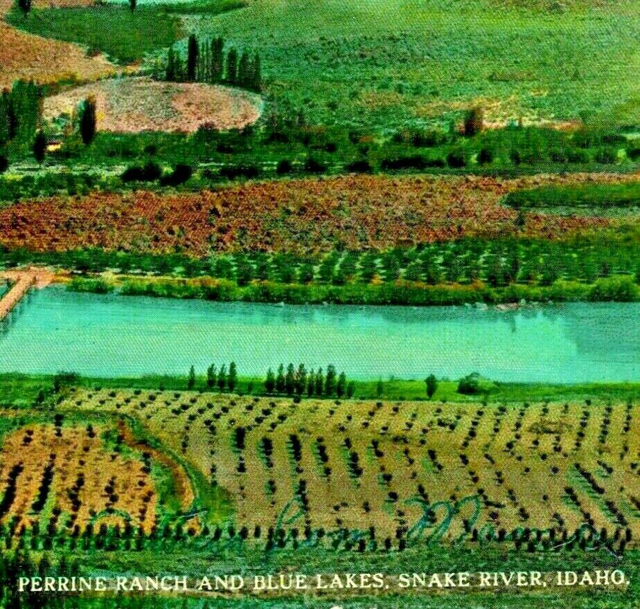 Perrine Ranch Blue Lakes SNAKE RIVER IDAHO 1916 Wesley Postcard 3589 ...
