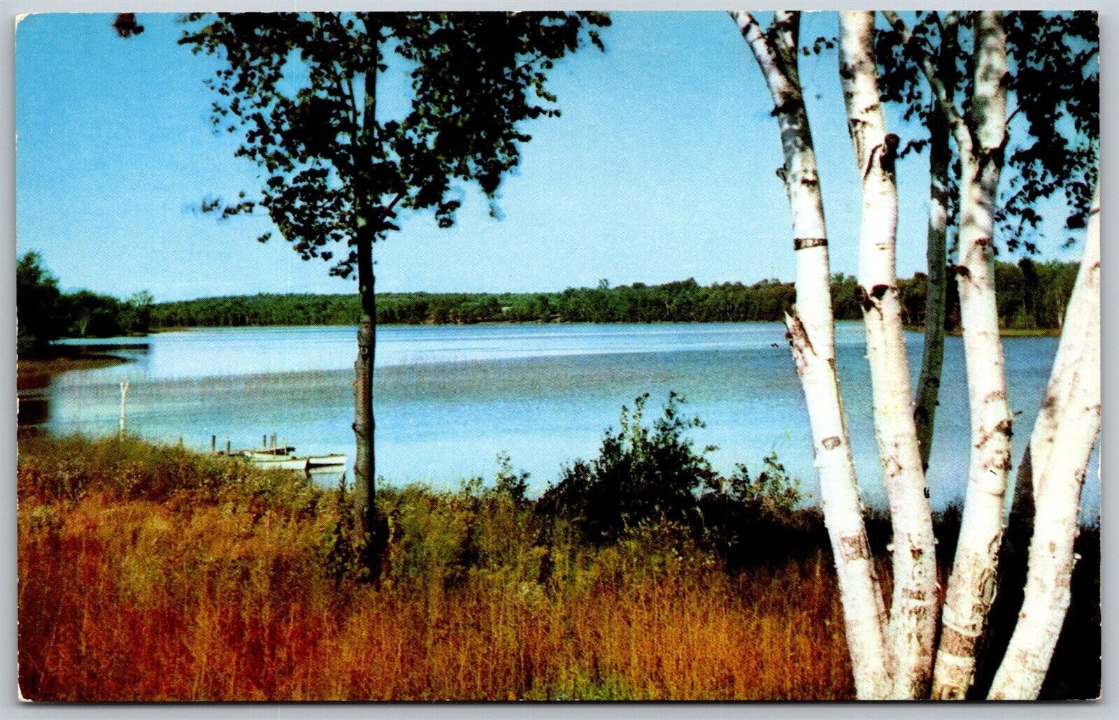 Vtg Greetings from Vassar Michigan MI Lake View 1950s Old Postcard ...