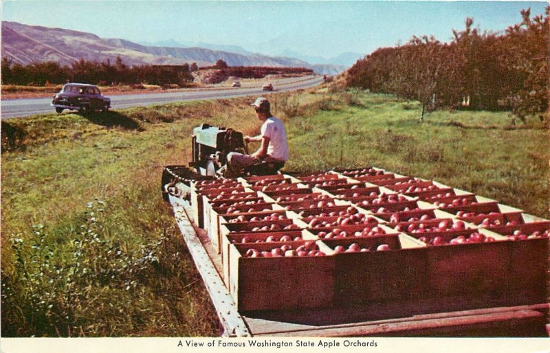 Postcard 1950s Washington View famous Apple orchard Agriculture 3-13324 ...