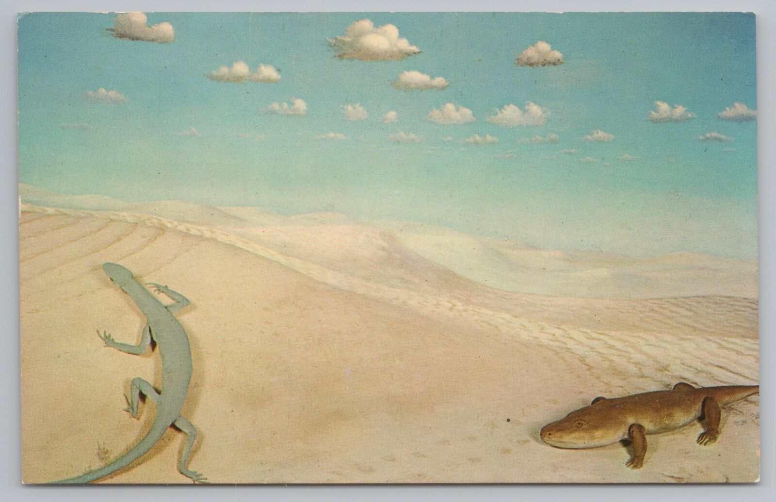 Grand Canyon National Park Arizona~Visitor Center Diorama~Extinct ...