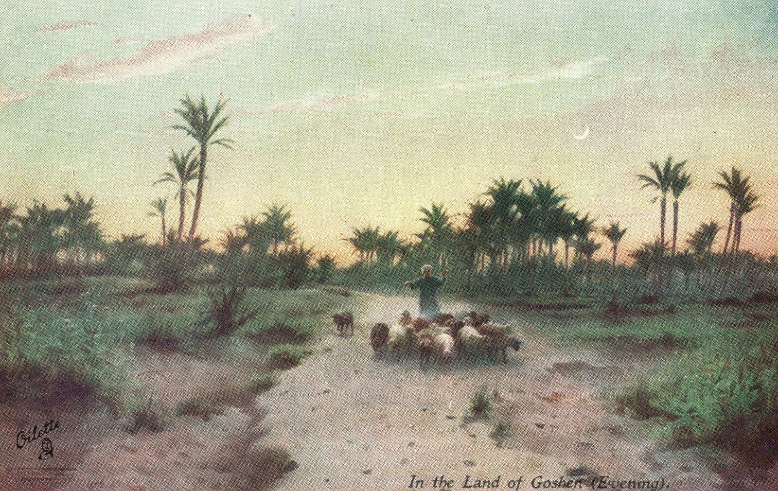 Vintage Postcard 1910s In The Land of Goshen Evening in Egypt Flock ...