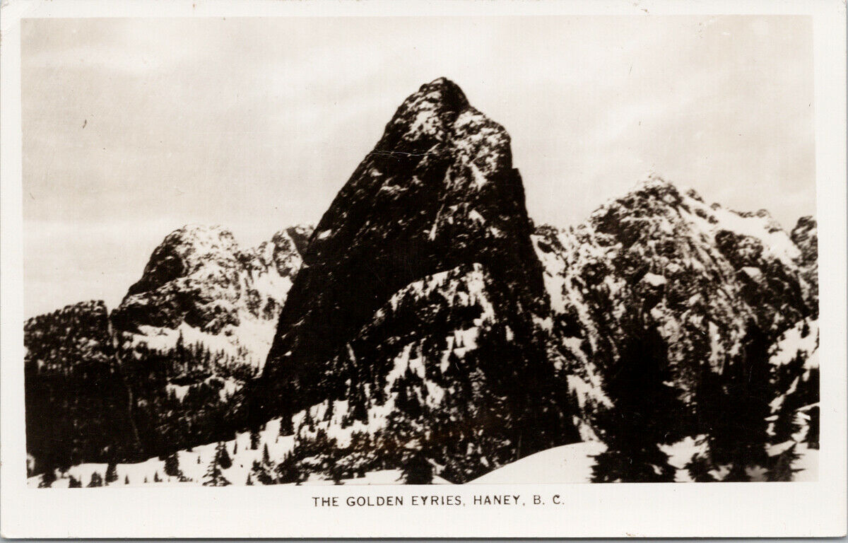 Haney BC The Golden Ears Mountain (spelling error) Unused RPPC Postcard ...
