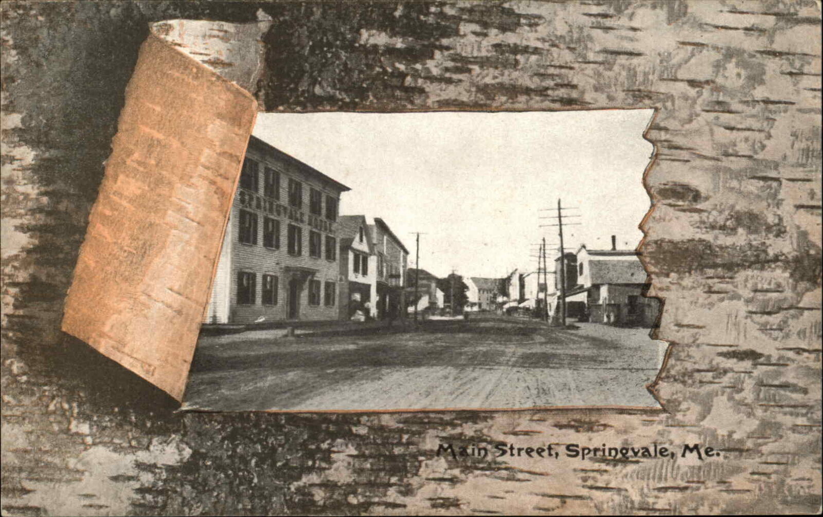 Springvale Maine ME Main Street Birch Bark Border c1910 Vintage ...