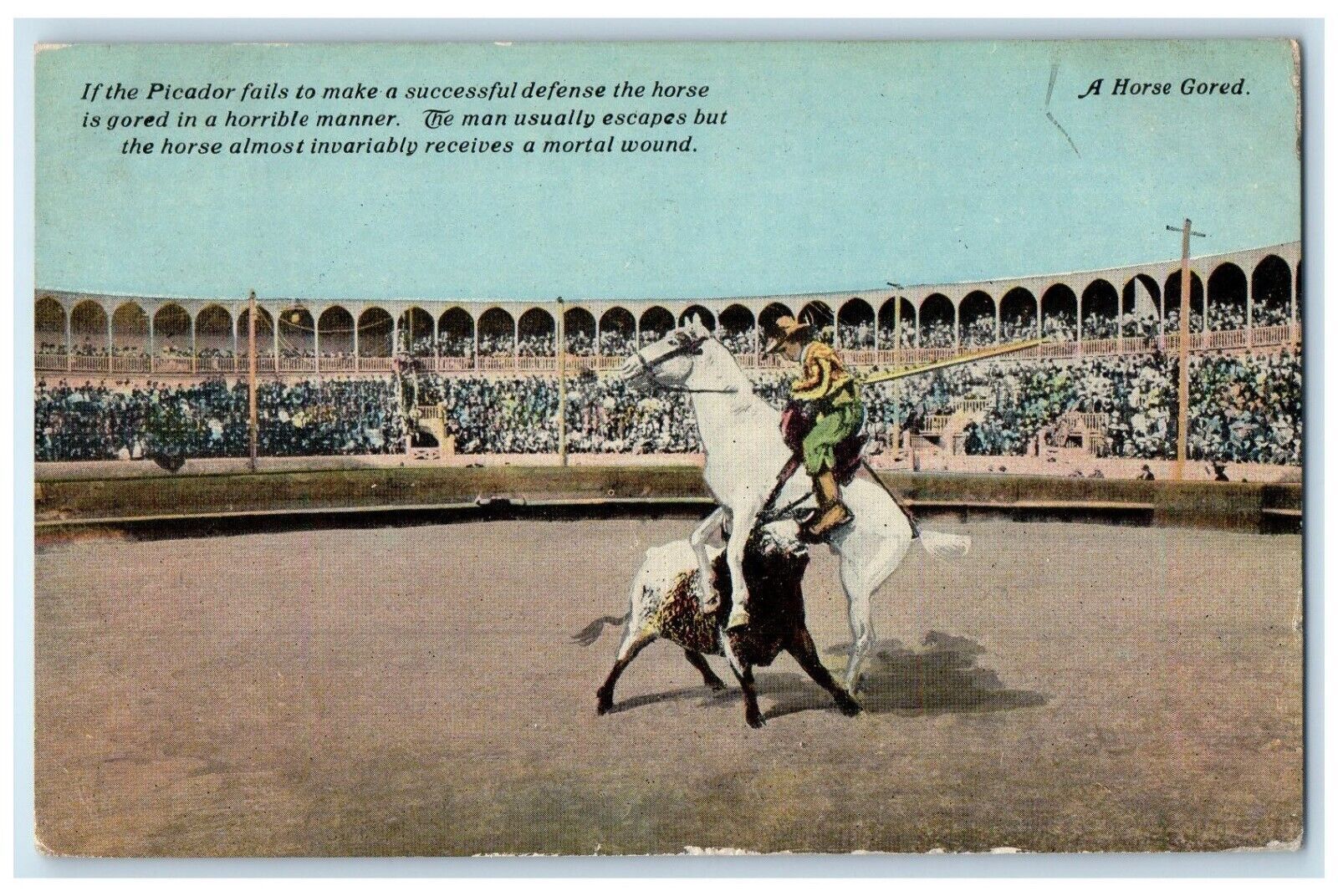 1916 Bull And Horse Fighting USS Michigan US Navy Ship Sailor Mail ...