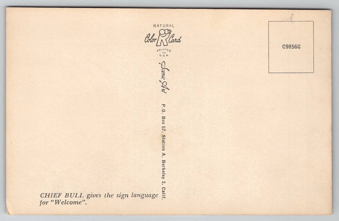 American Indian Chief Bull Gives The Sign Language For Welcome Postcard ...