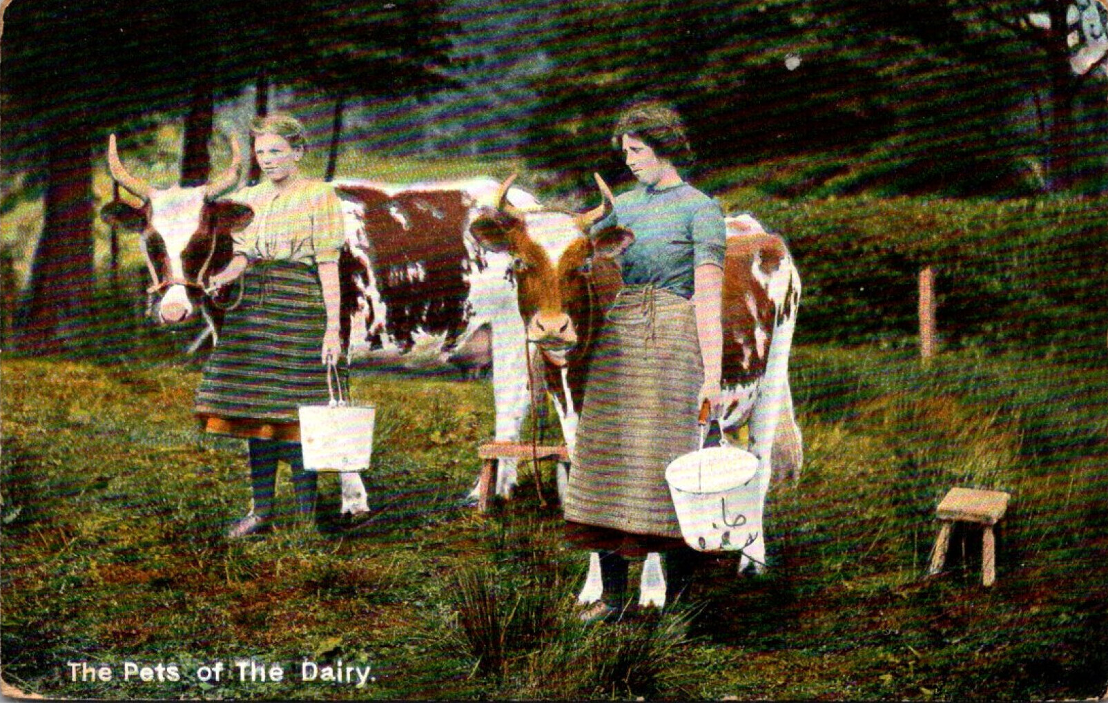 Cows Women Milking Cows The Pets Of The Family 1907 | Topics - Animals ...