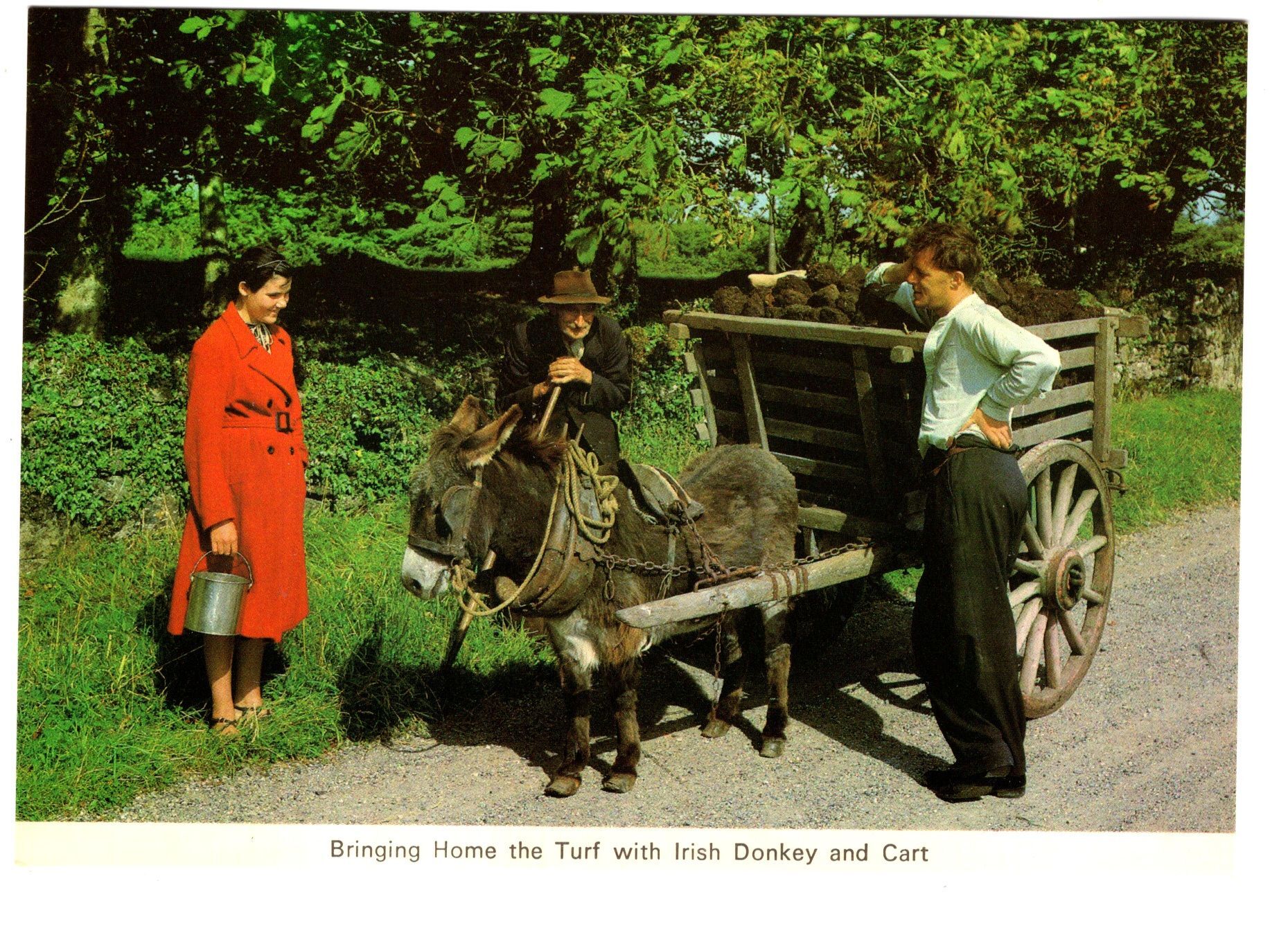 Bringing Home the Turf with Irish Donkey and Cart Ireland, | Europe ...
