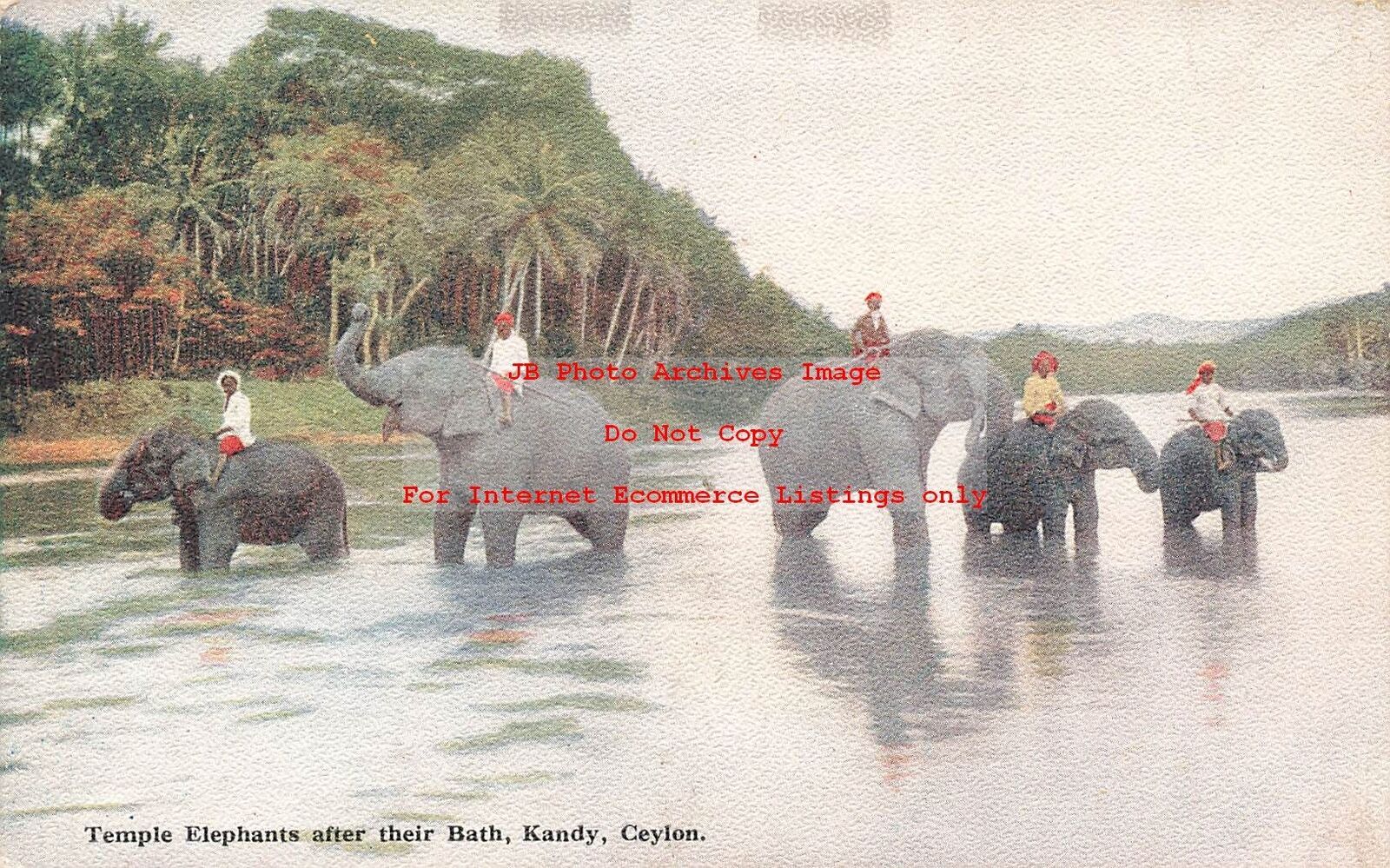 Sri Lanka, Ceylon, Kandy, Temple Elephants after their Bath | Asia & Middle East - Sri Lanka ...