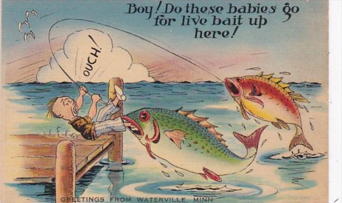 Fishing Humour Boy Do These Babirs Go For Live Bait Up Here | Topics ...
