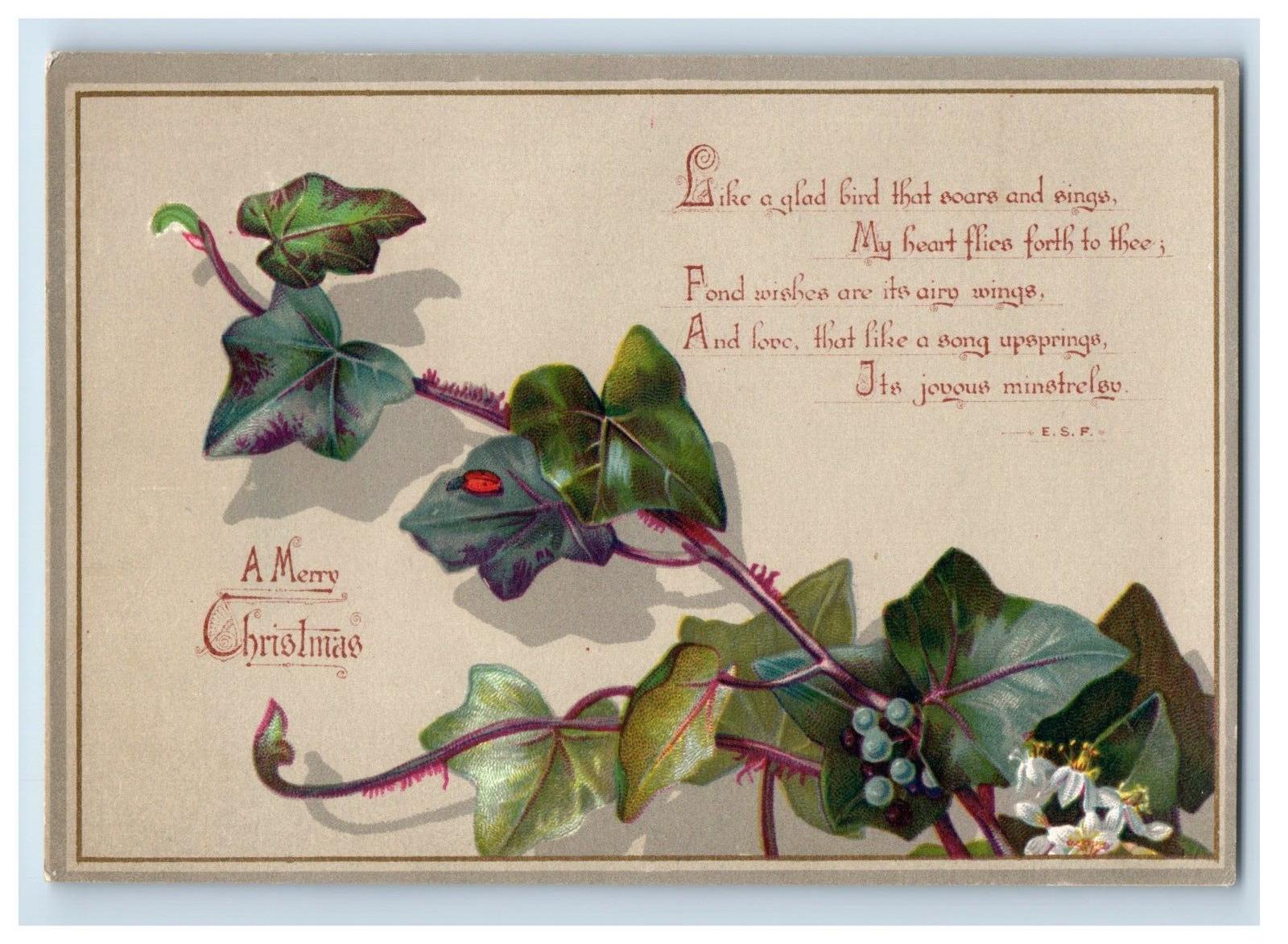 1879 Victorian Christmas Card Lovely E.S.F. Poem Ivy Ladybug F117 ...
