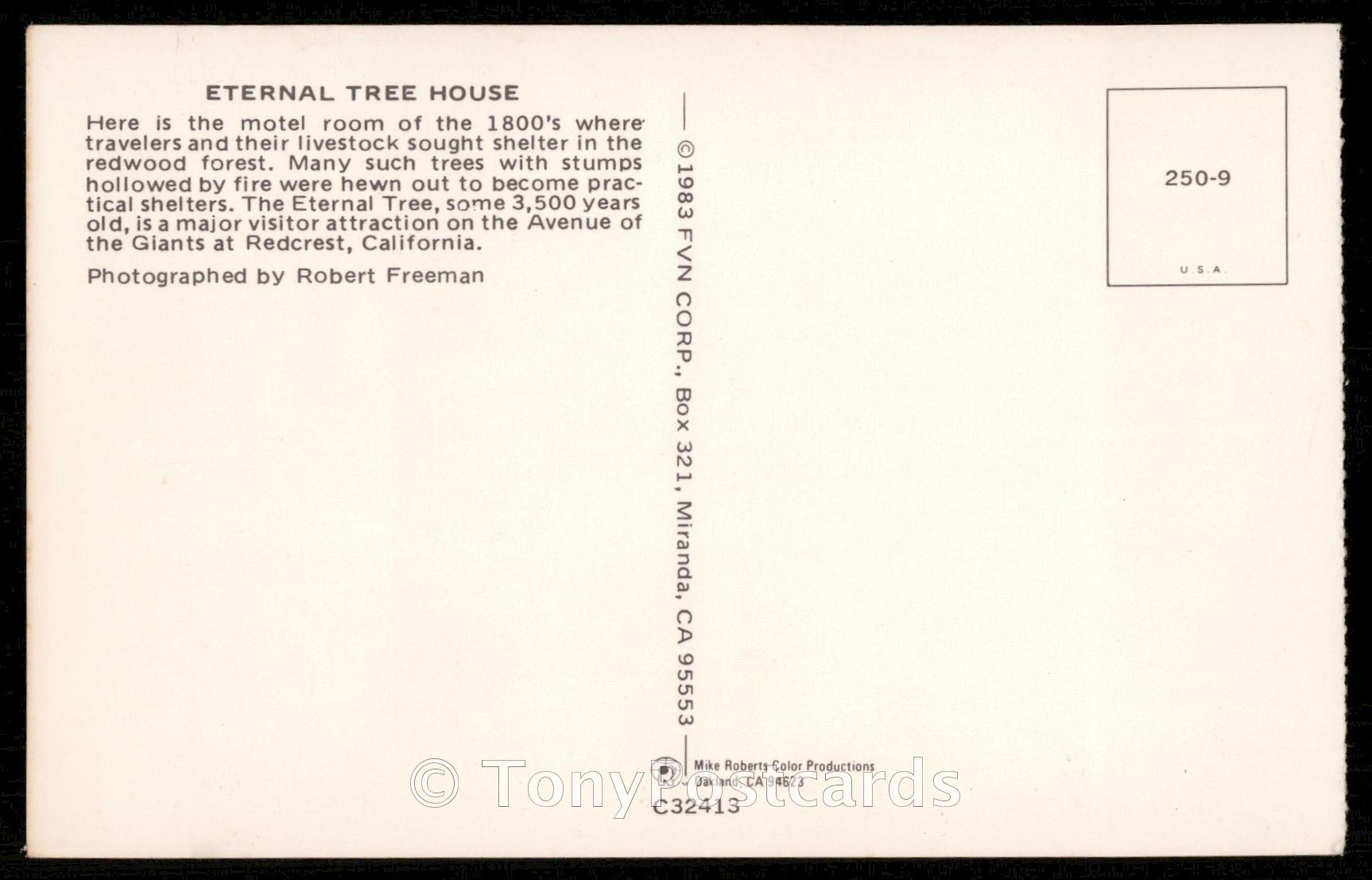 Eternal Tree House | United States - California - Other, Postcard ...