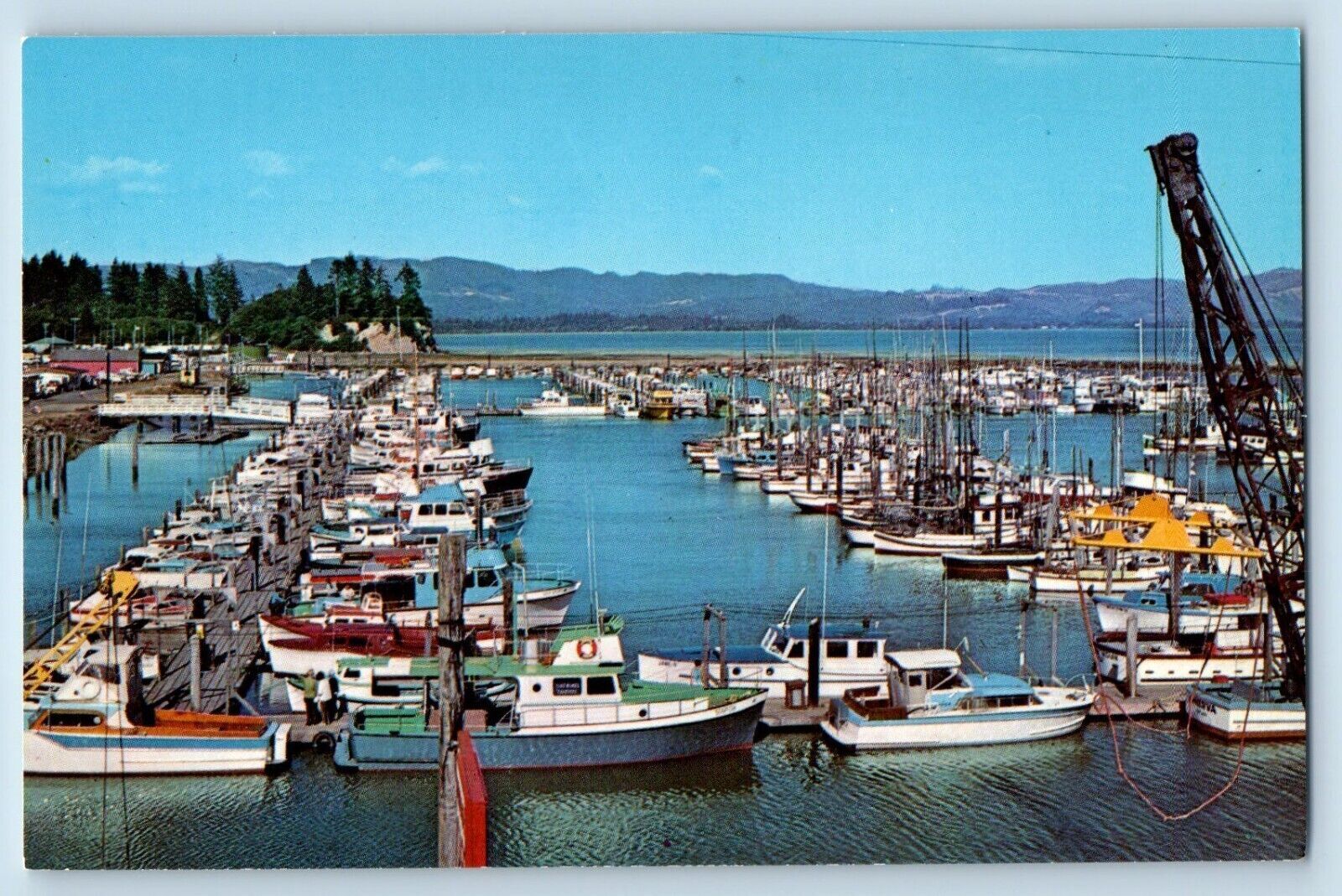 Ilwaco Washington Postcard Port Basin Columbia River Berths Salmon ...