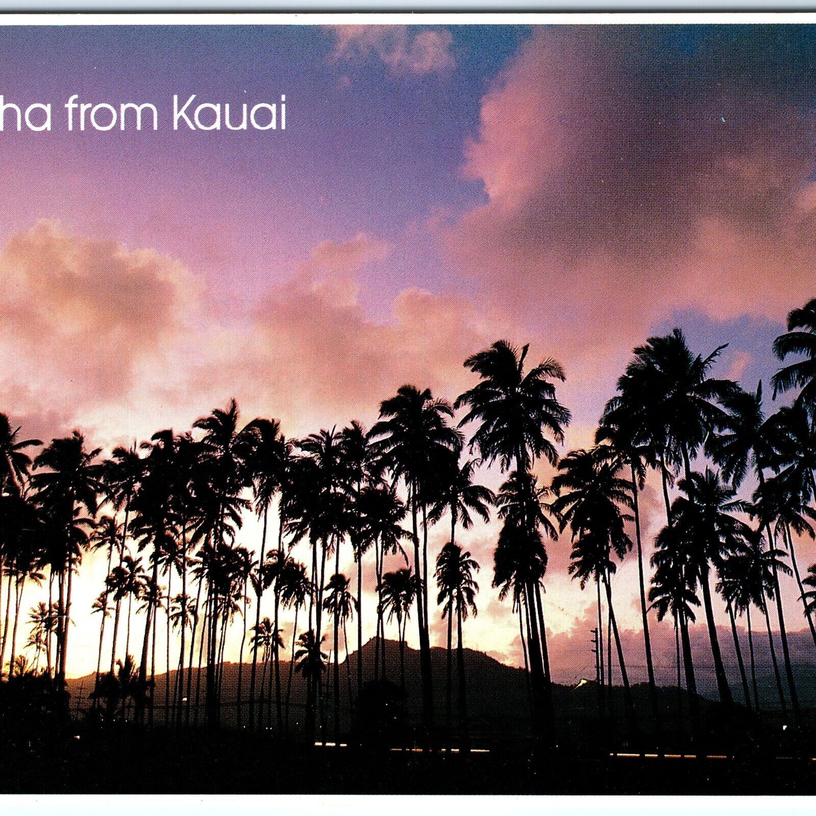 1970s Kauai, HI Aloha Palm Tree Sunset Paradise Scenic Chrome 4x6 PC ...