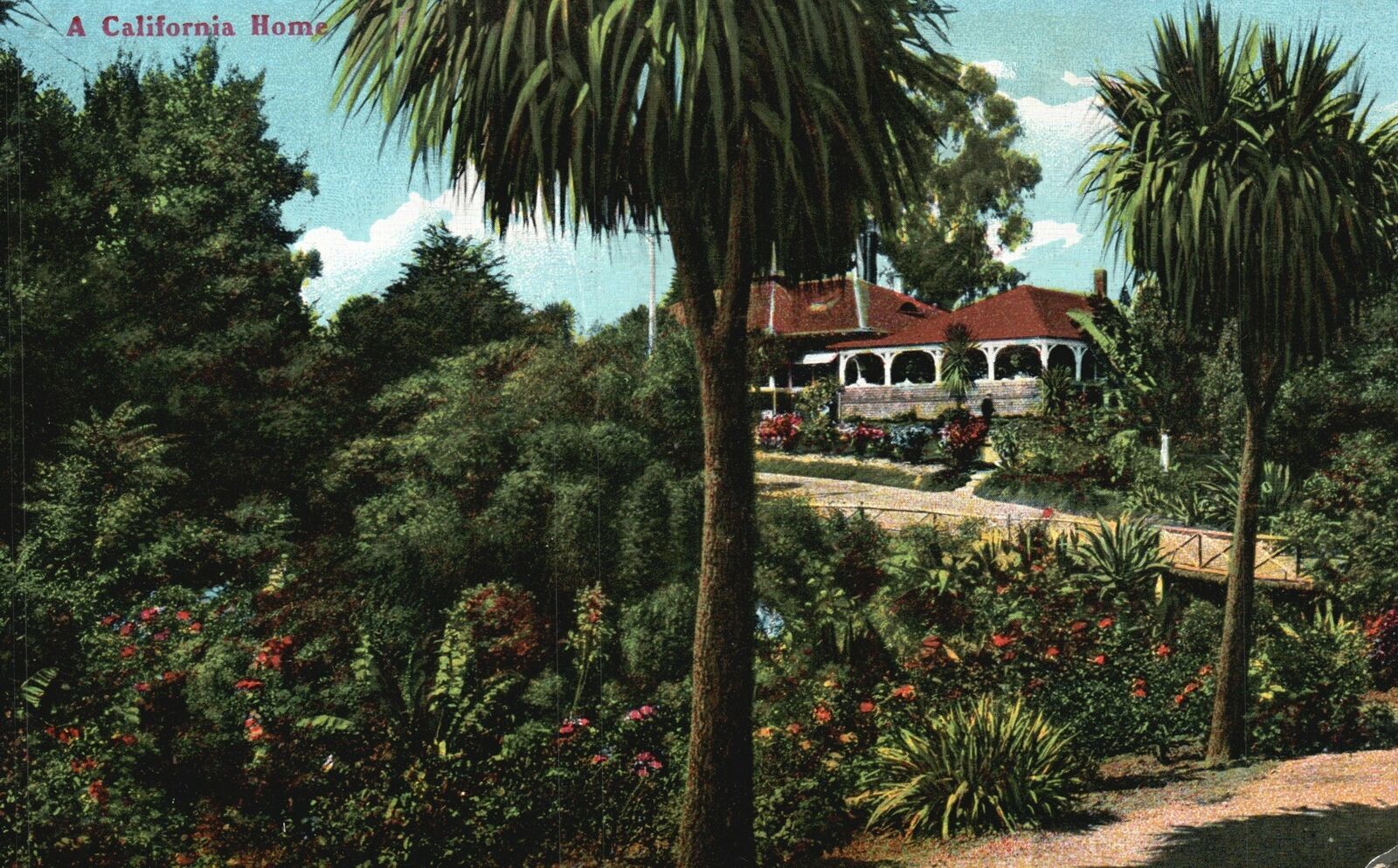 Vintage Postcard 1910's View of A Beautiful California Home Nature ...