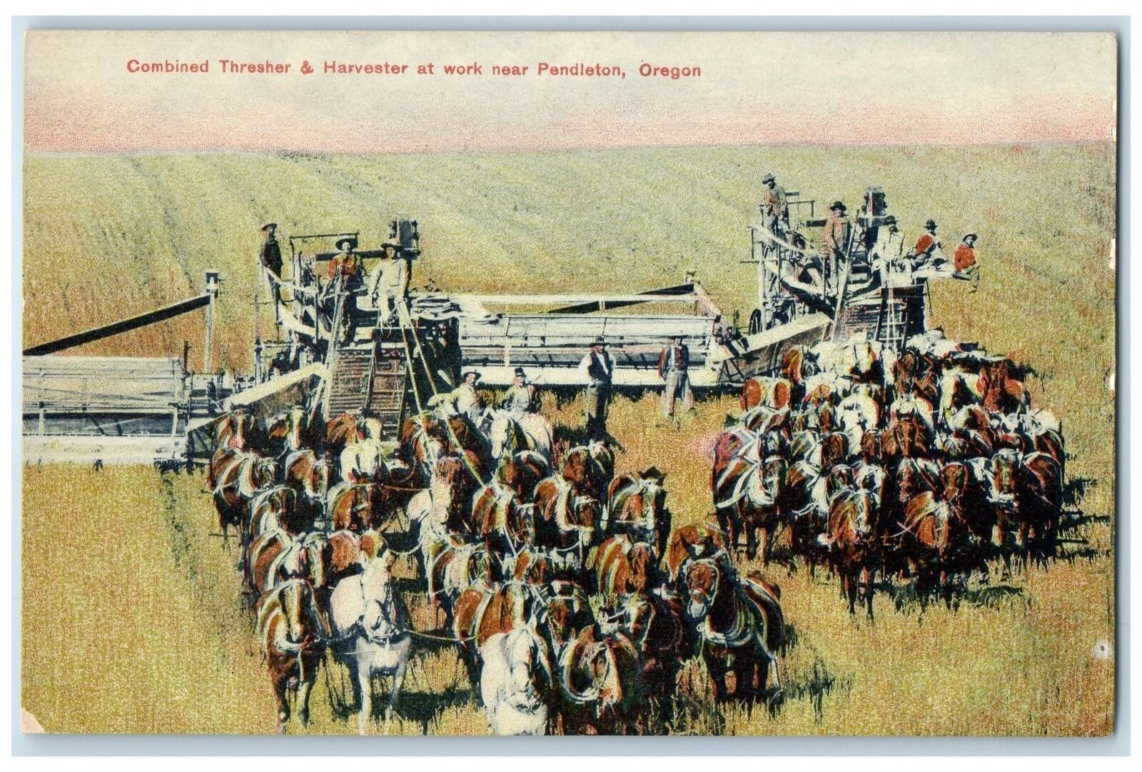 c1910's Combined Thresher & Harvester At Work Pendleton Oregon Antique ...