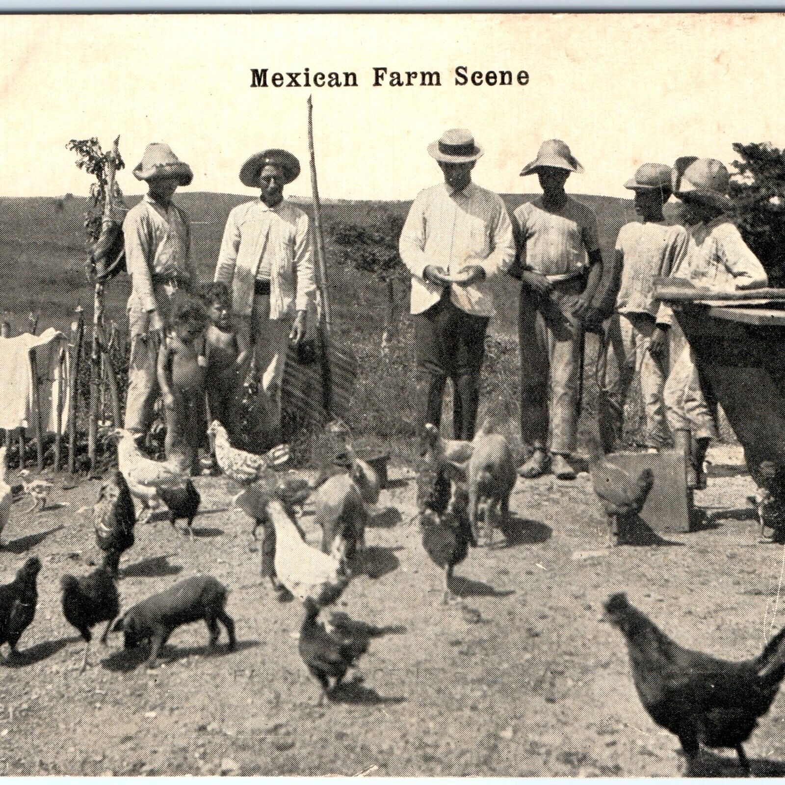 1930s Mexican Farm Scene FAKE RPPC Chickens Lith Photo Stratton ...