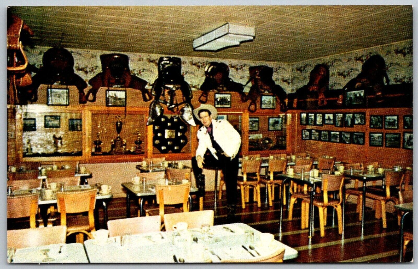 Pierre South Dakota 1960s Postcard Casey Tibbs Trophy Room Falcon Cafe ...