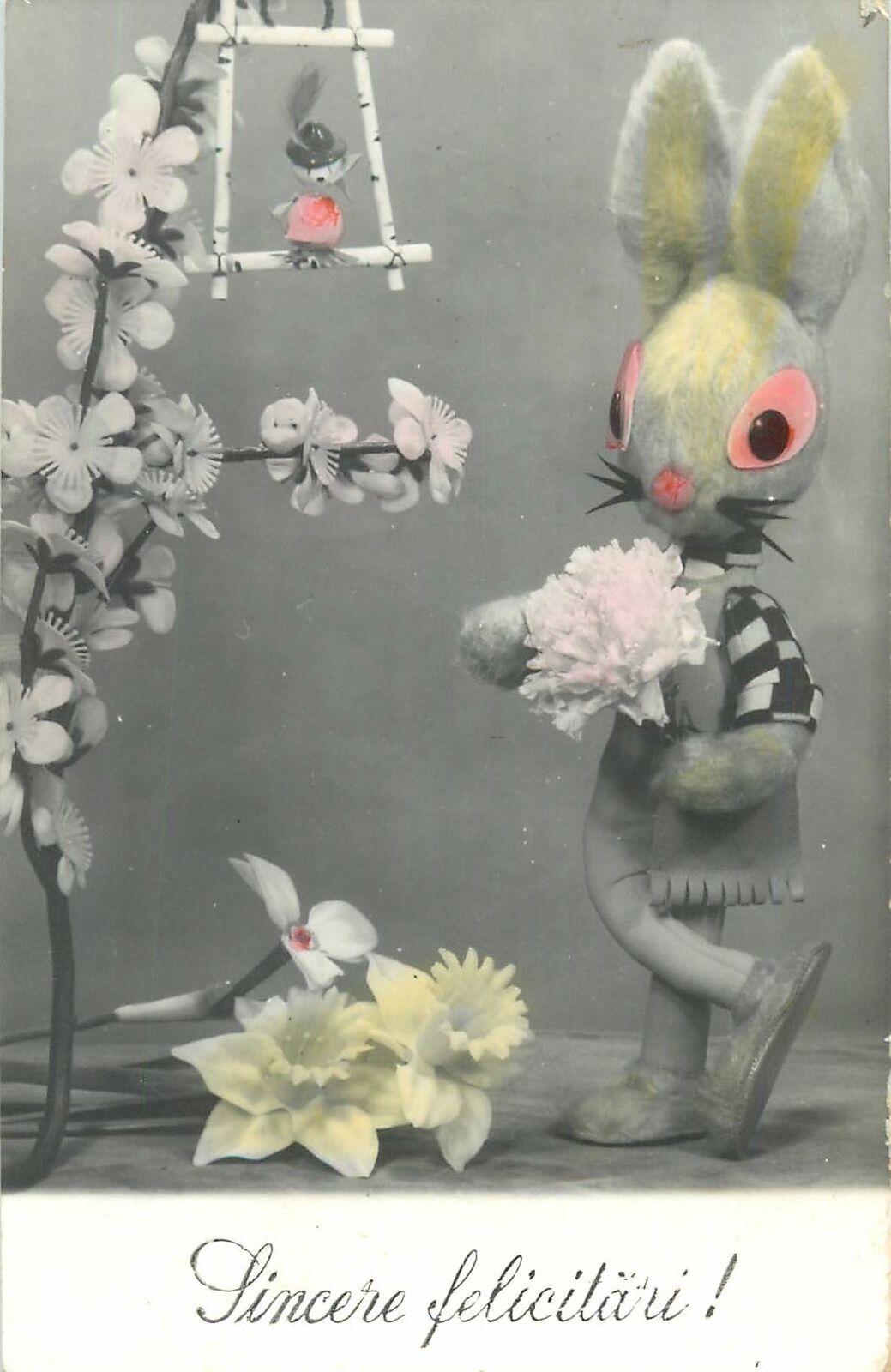 Congrats greetings surrealism Postcard toy rabbit flower bouquet floral ...