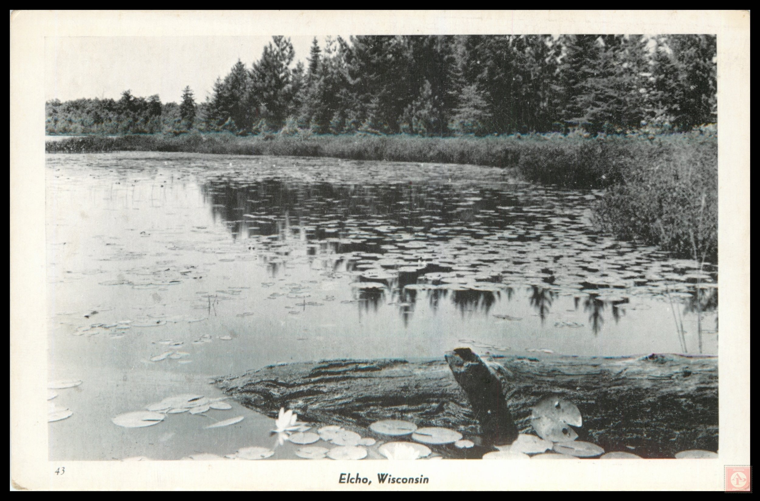 Lake Scene, Elcho, WI | United States - Wisconsin - Other, Postcard ...