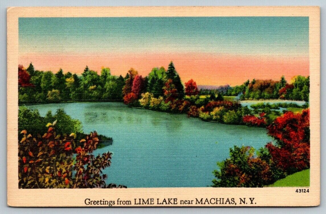 Greetings From Lime Lake Machias New York Postcard 1943 | United States ...