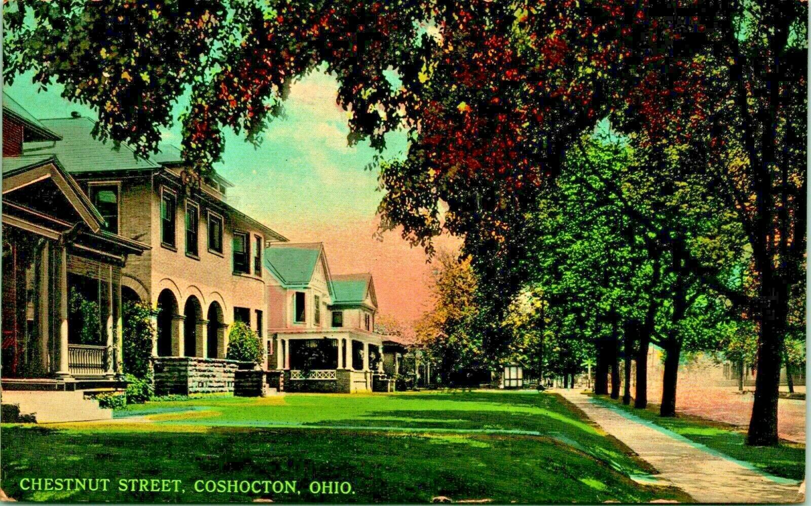 Chestnut Street View and Homes Coshocton Ohio OH 1910 DB Postcard ...