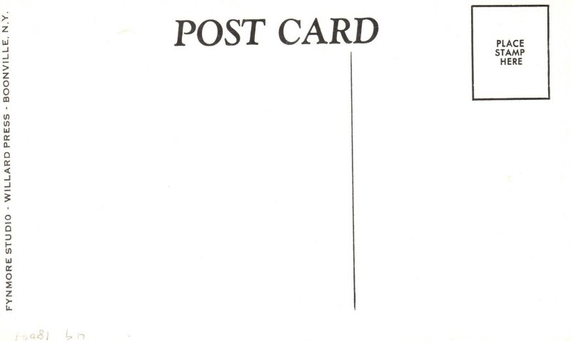 Vintage Postcard The North Slope At Snow Ridge Turin New York Fynmore ...