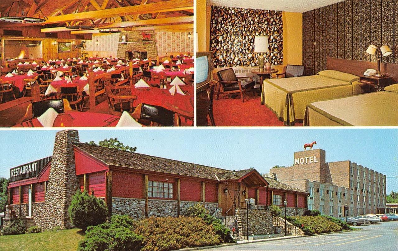 THE RED HORSE Steak House FREDERICK, MD Roadside Room Interior TV 1960s ...